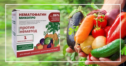 Нематофагин-Микопро, П | Дела (Огород.ru)