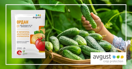 Ордан, СП | Дела (Огород.ru)