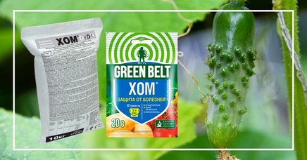 ХОМ, СП | Дела (Огород.ru)